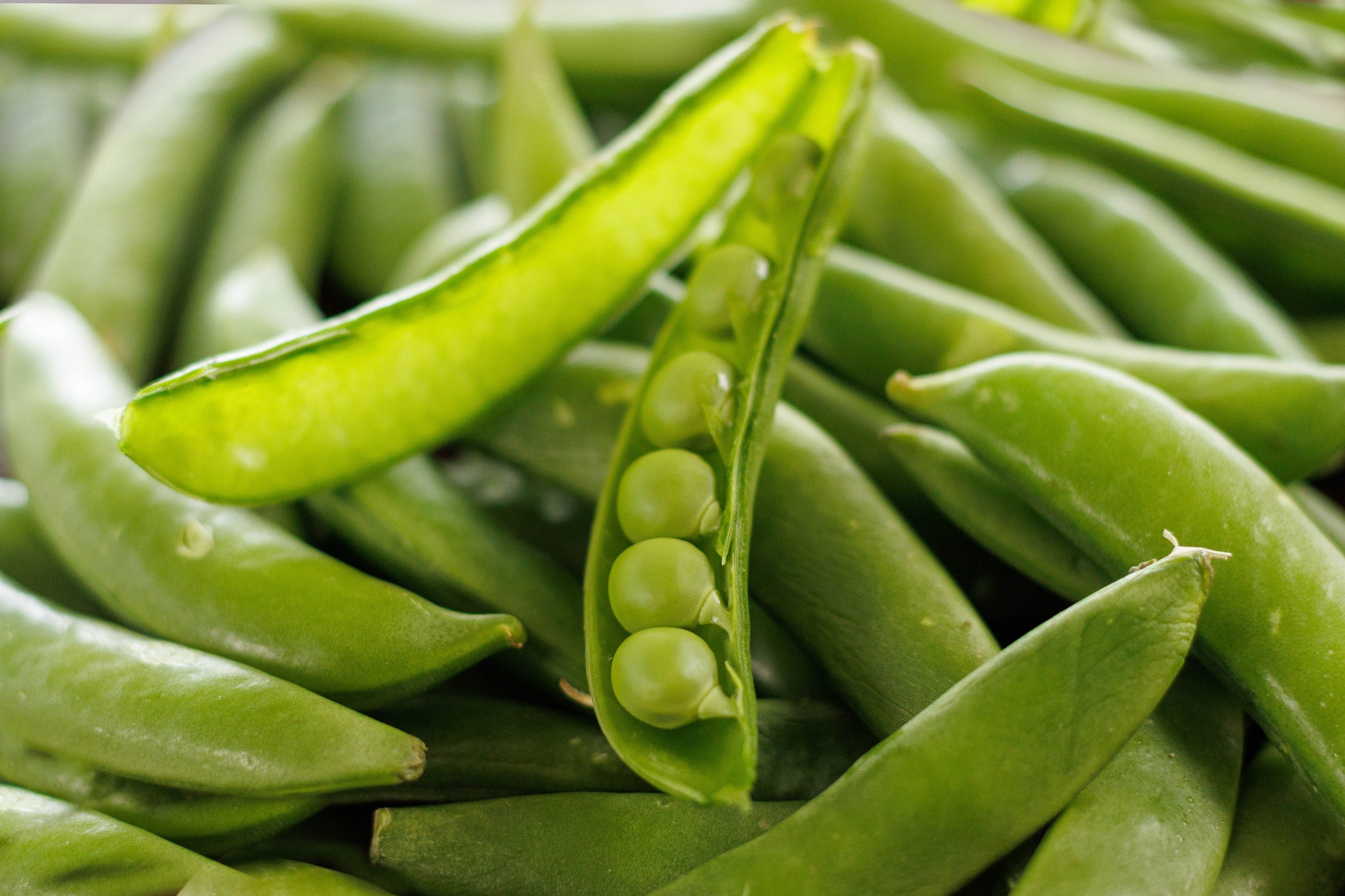 Heirloom Max Seed Kit - 39 Varieties | Premium Survival Seeds – Heaven ...